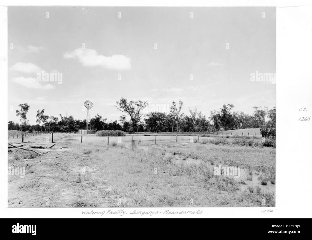 Bungunya hi-res stock photography and images - Alamy