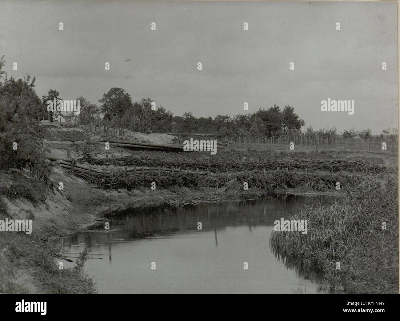 This image depicts a path through marshy terrain near Romaniec ...