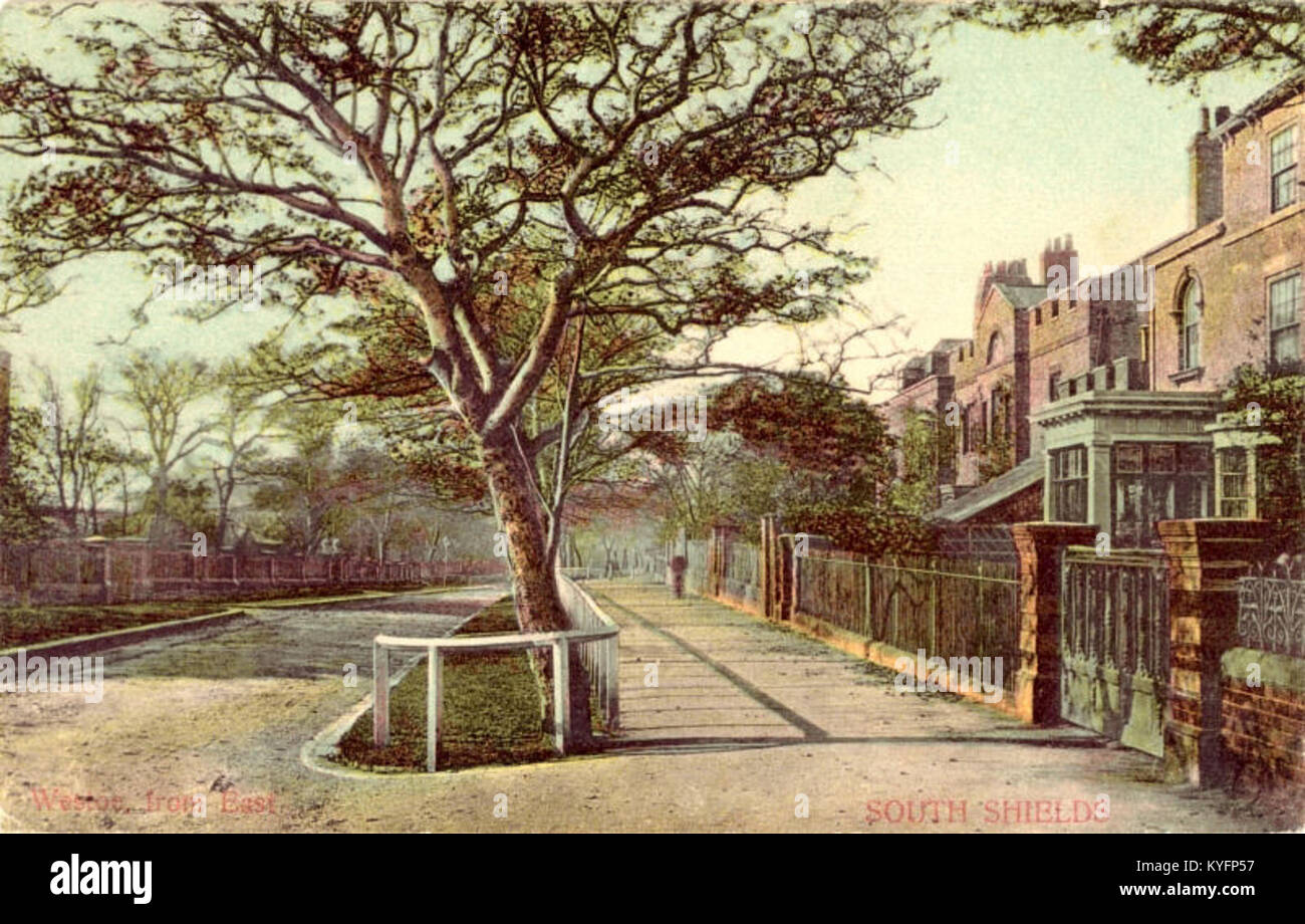 Westoe from East, South Shields 1904 Stock Photo - Alamy