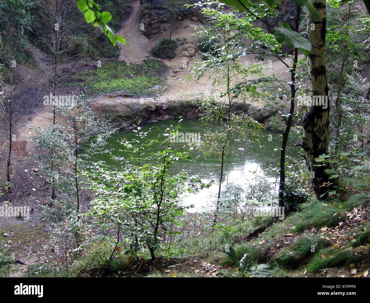 Photograph of Zielony Stawek (Czarne Jeziorko) in Wieściszowice ...