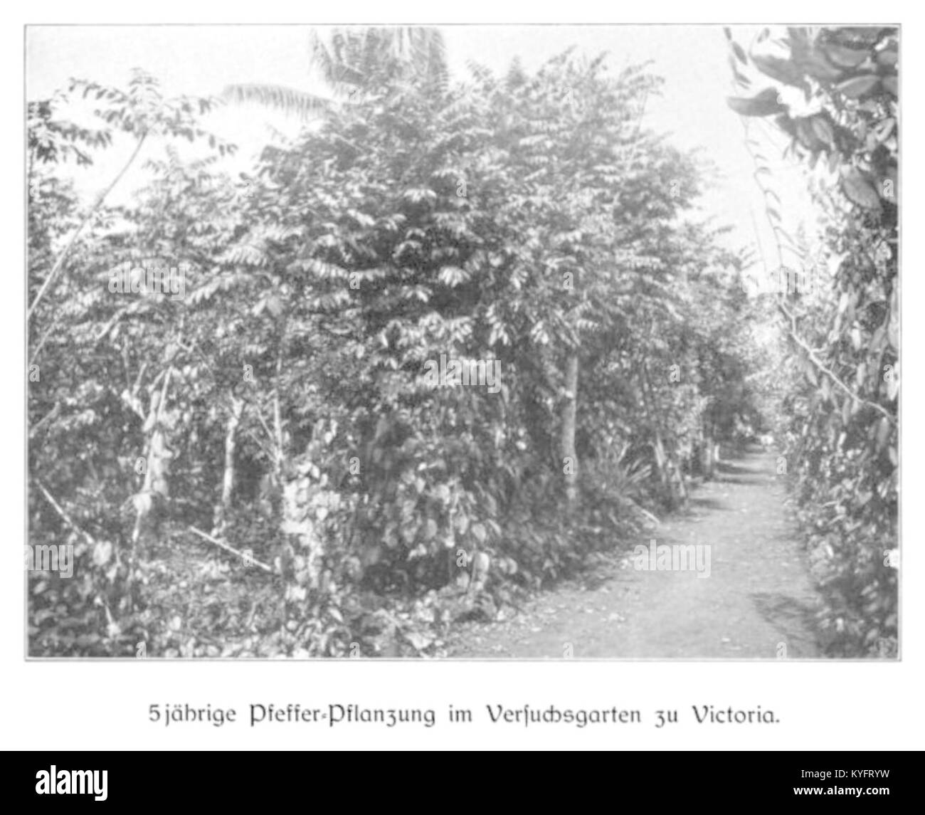 Experiment station research Cut Out Stock Images & Pictures - Alamy