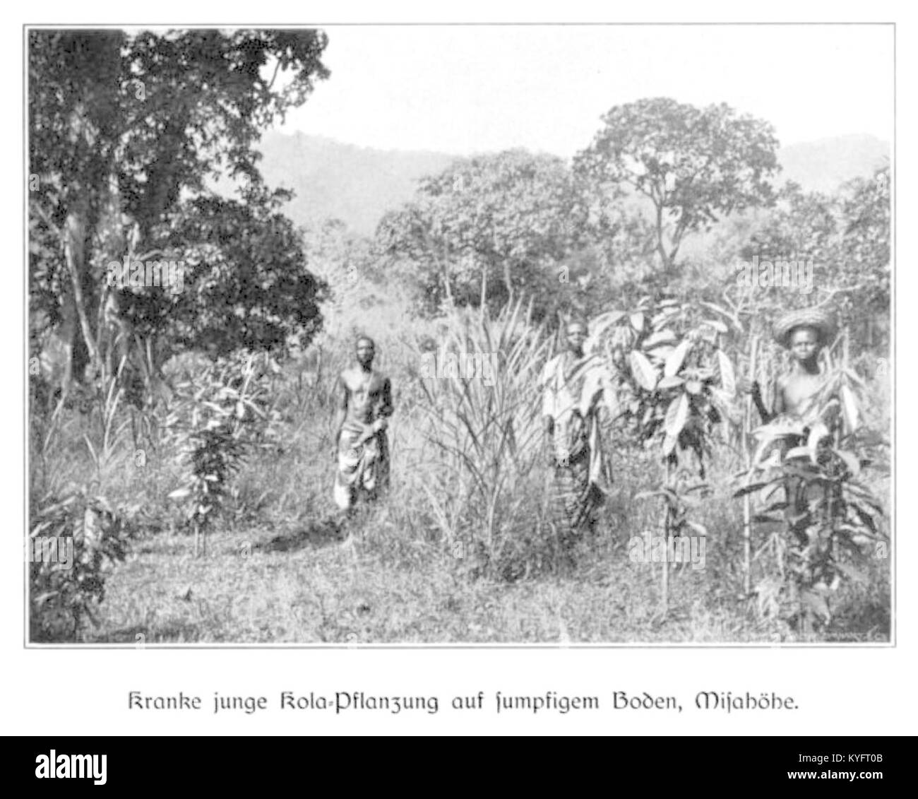 Study on soil management Cut Out Stock Images & Pictures - Alamy