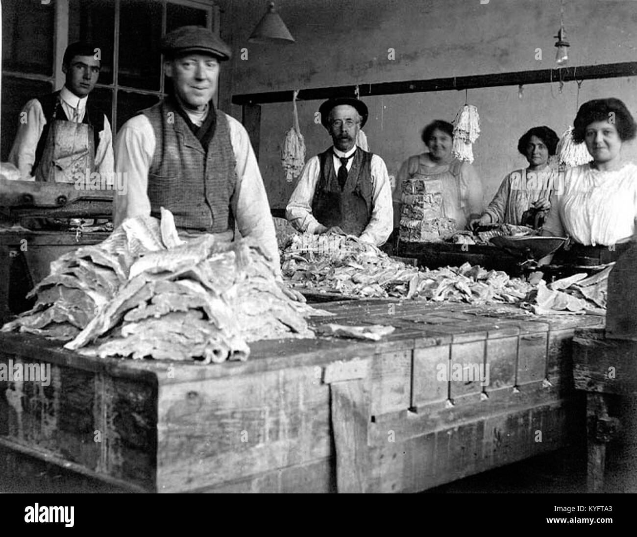 Workers cutting strips for making cod bricks, unidentified cod ...