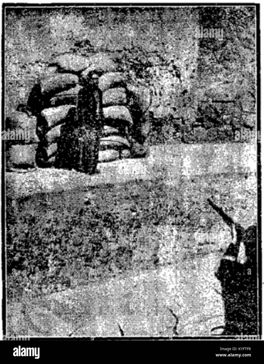 WP Execution of José de León Toral Stock Photo - Alamy