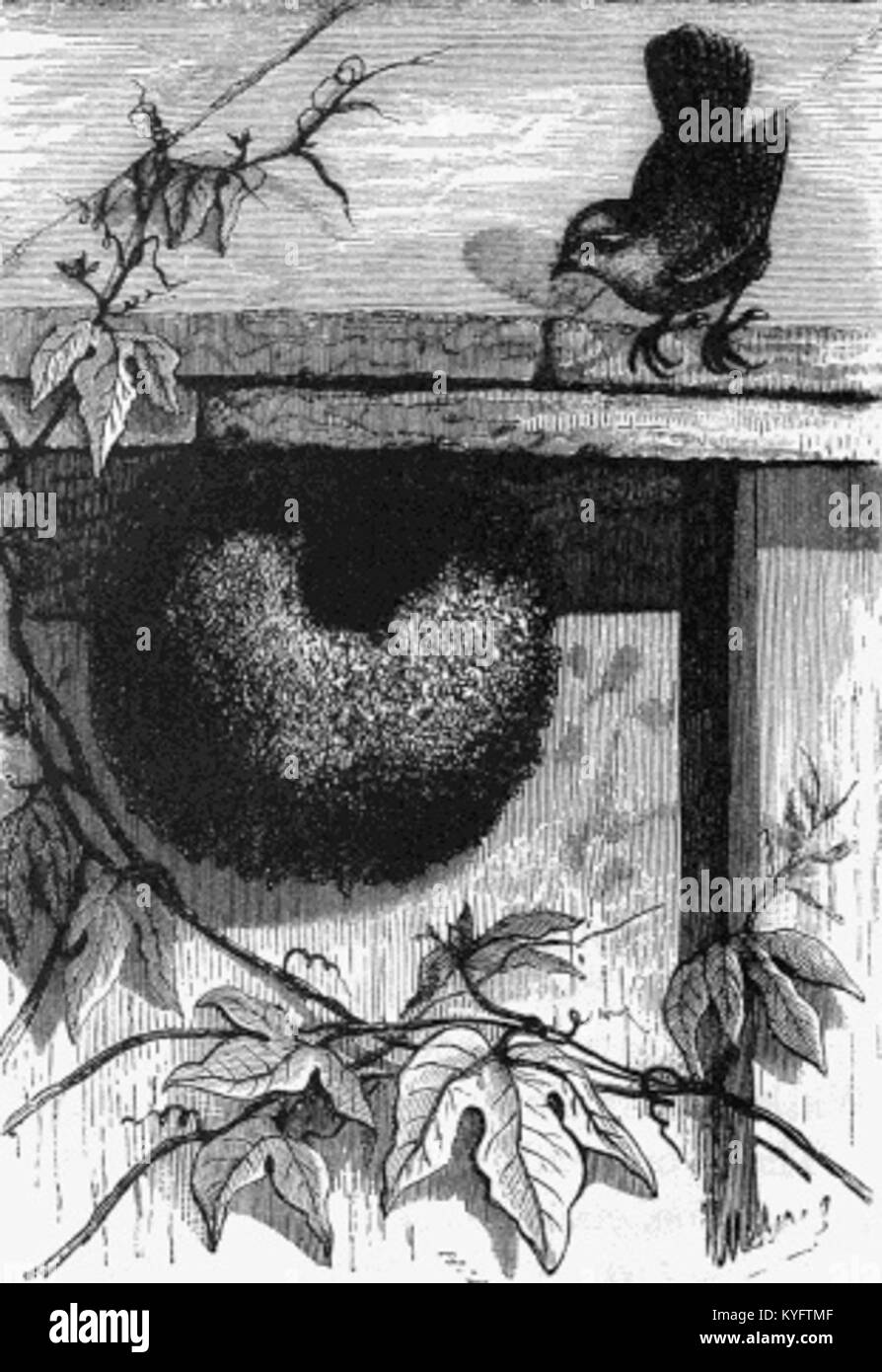 Wren's Nest is a geological site of interest in the United Kingdom ...