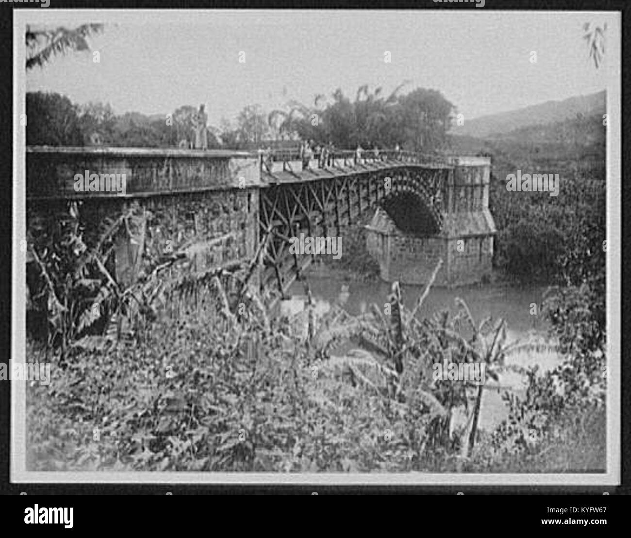 Peradeniya bridge hi-res stock photography and images - Alamy