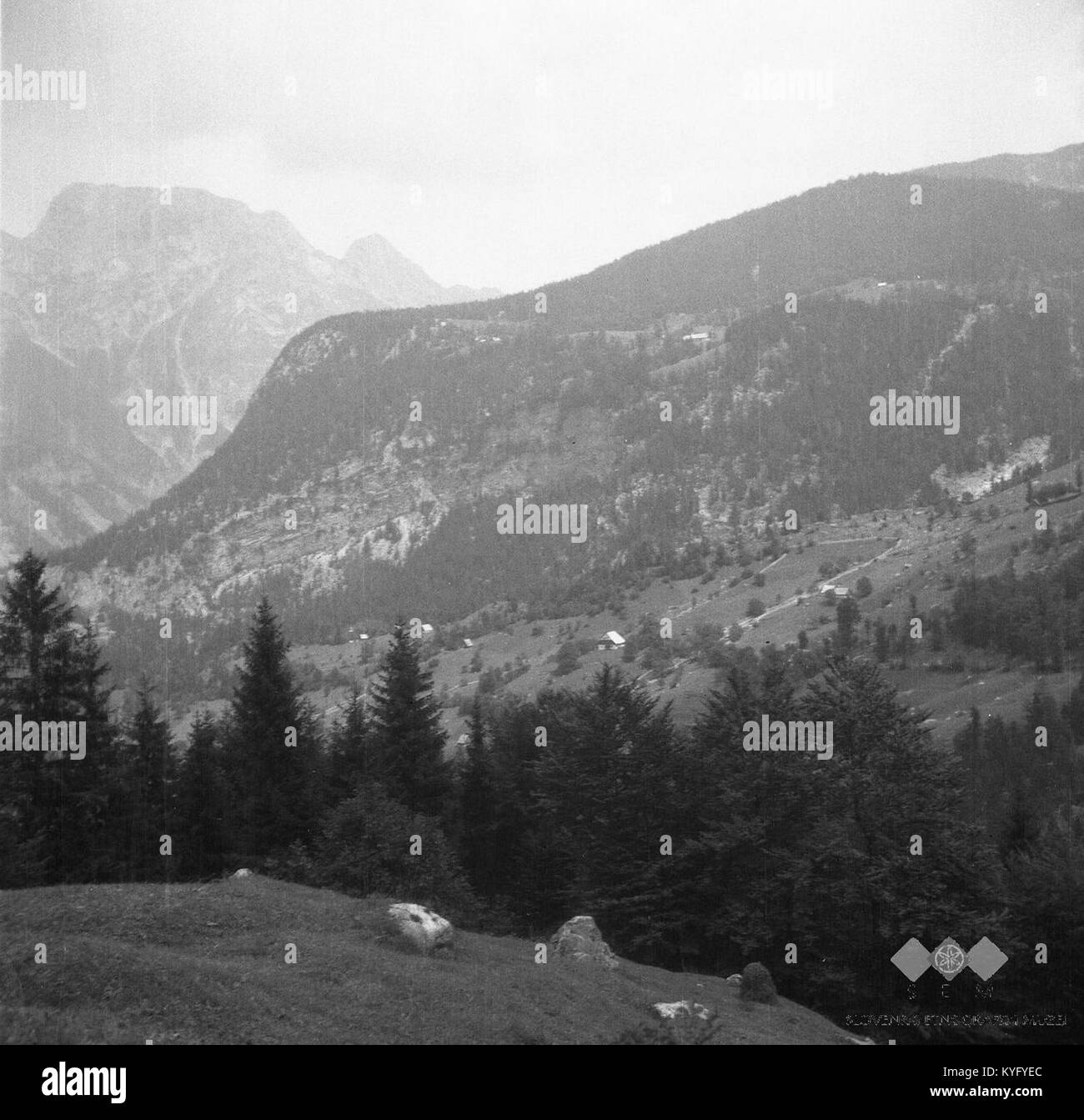 Vrsnik hi-res stock photography and images - Alamy