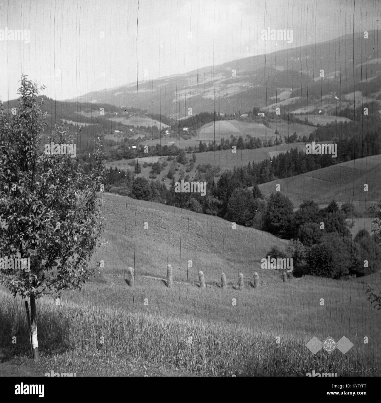 This photograph from 1963 captures a view of Dolic, likely a location ...