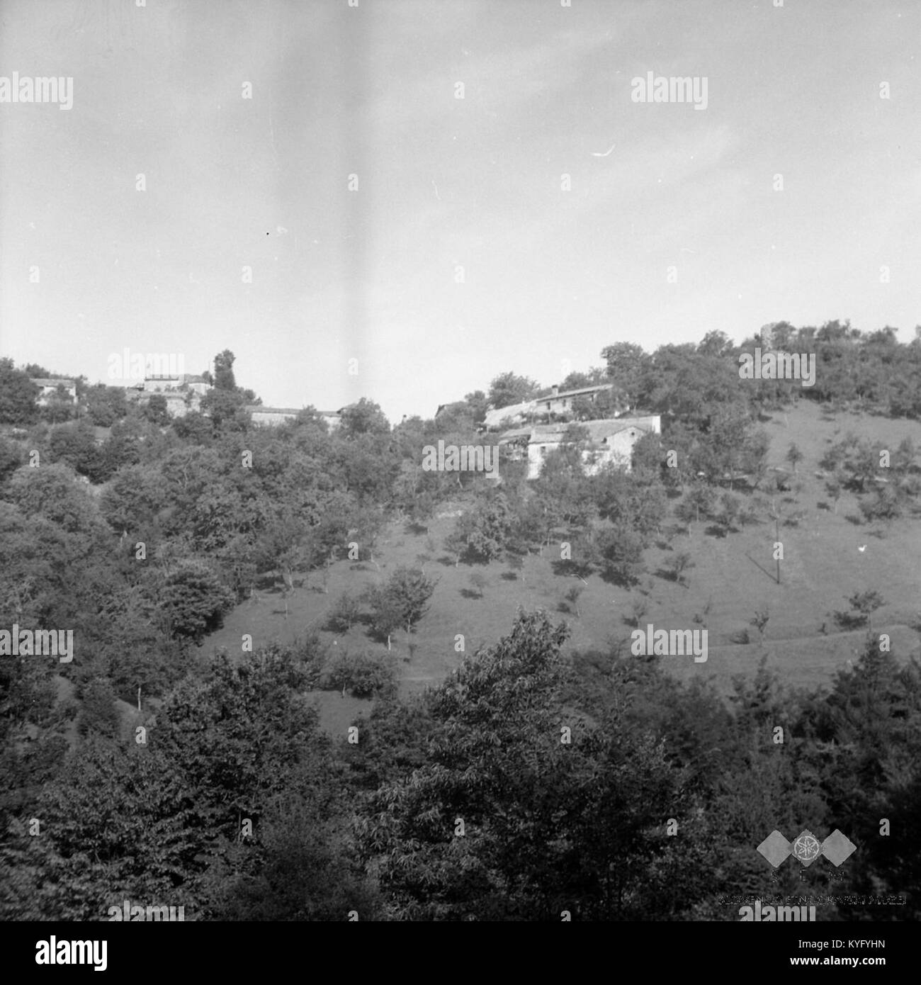 The 1955 photograph shows Podgrad near Rodik from Sušiška Valley by ...
