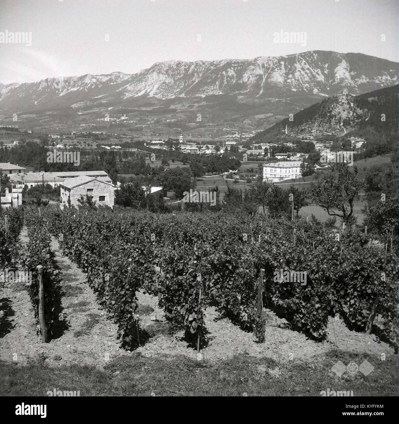 This image from 1958 depicts a view of the Vipava Valley from the base ...