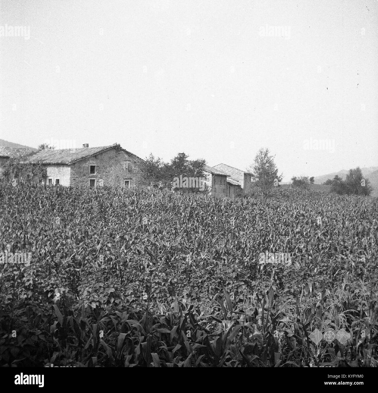 A 1951 photograph showing a view from a school towards the edge of a ...