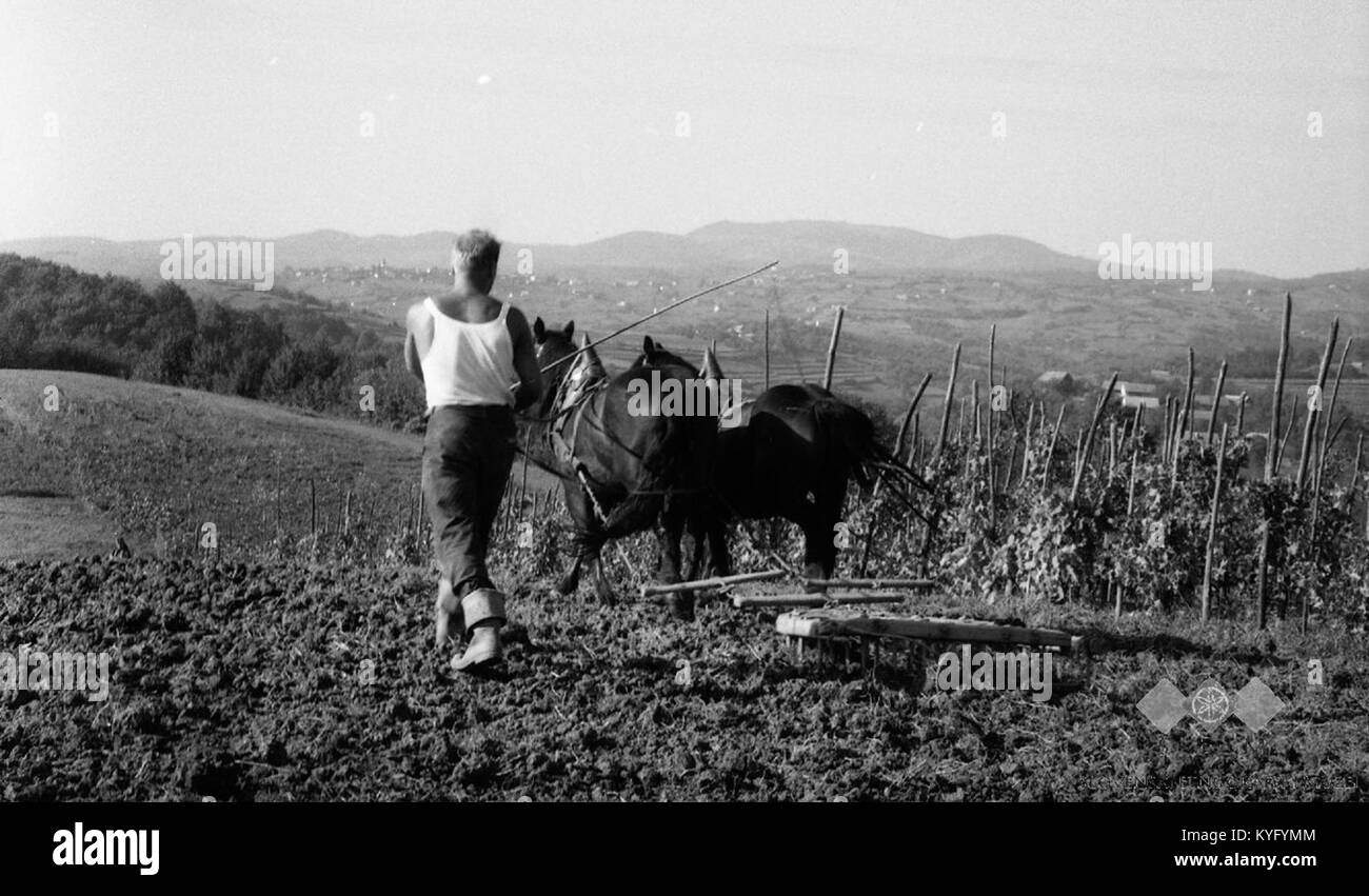 Radovici hi-res stock photography and images - Alamy