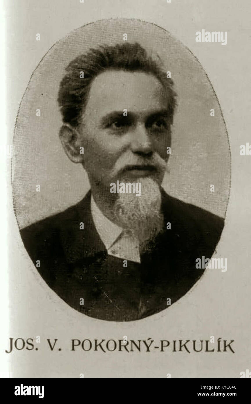 Pokorný-Pikulík Josef Václav (1842-1933 Stock Photo - Alamy