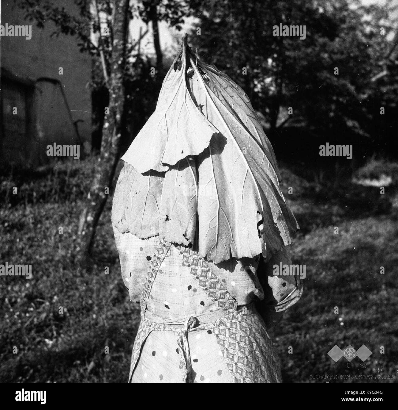 This photograph shows a feather rain cover used for fieldwork in 1964 ...
