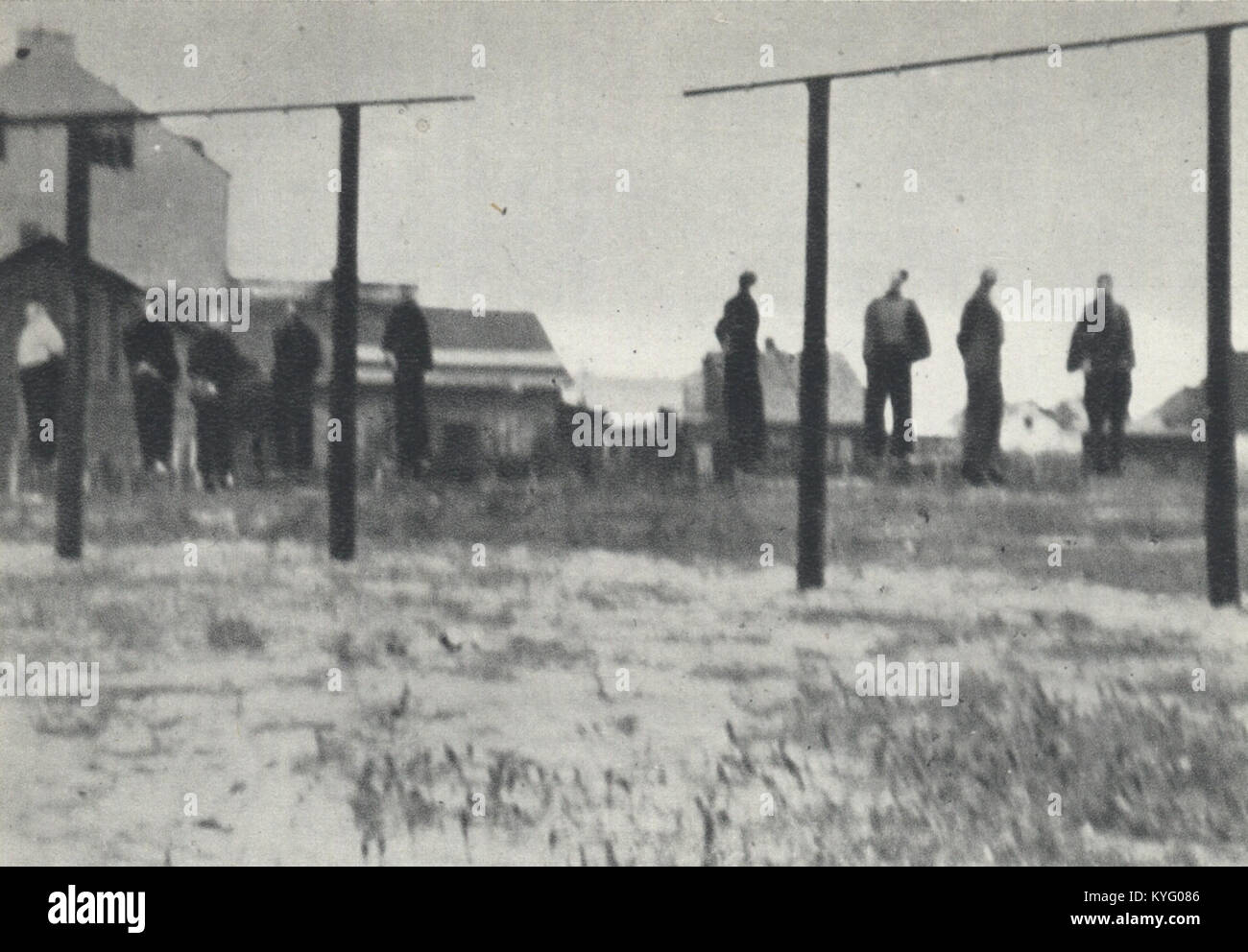 Photograph depicting the public execution of Polish hostages by German ...