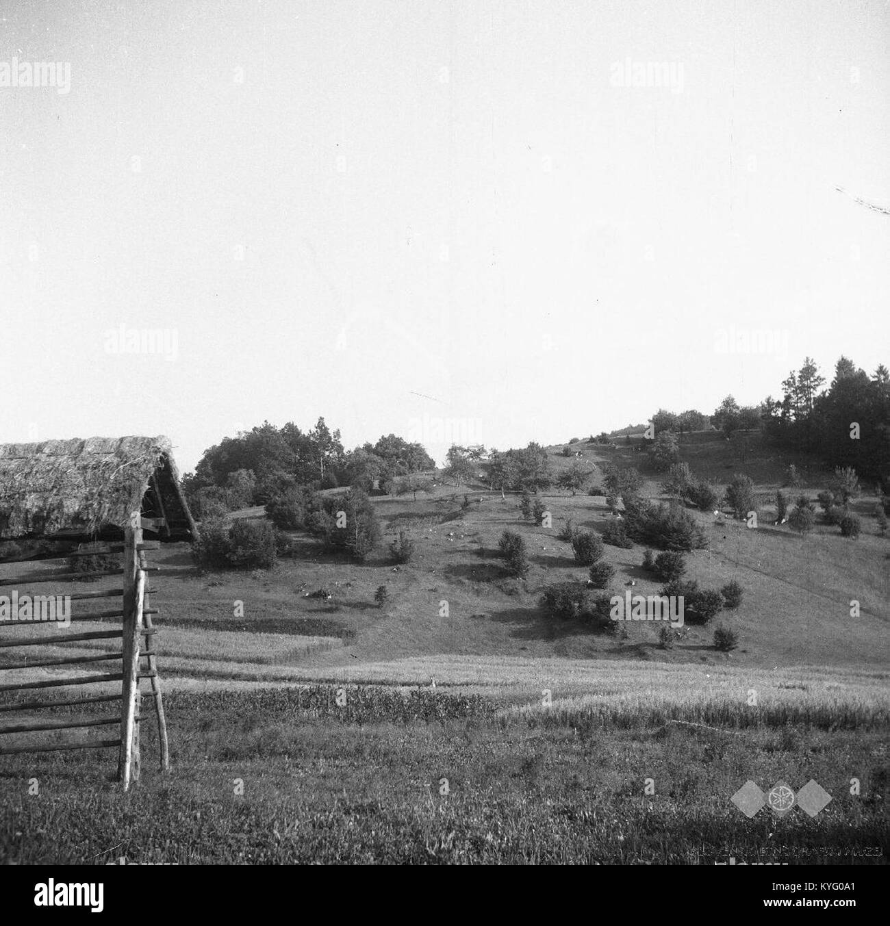 The photograph shows a field (Polje) near Malimi Lipljenami in 1964 ...