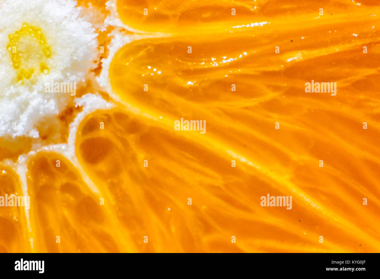 a slice of orange very close up - macro Stock Photo - Alamy
