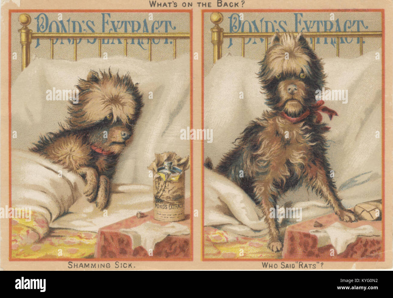 Pond's Extract Co. was a company producing skincare and medicinal ...