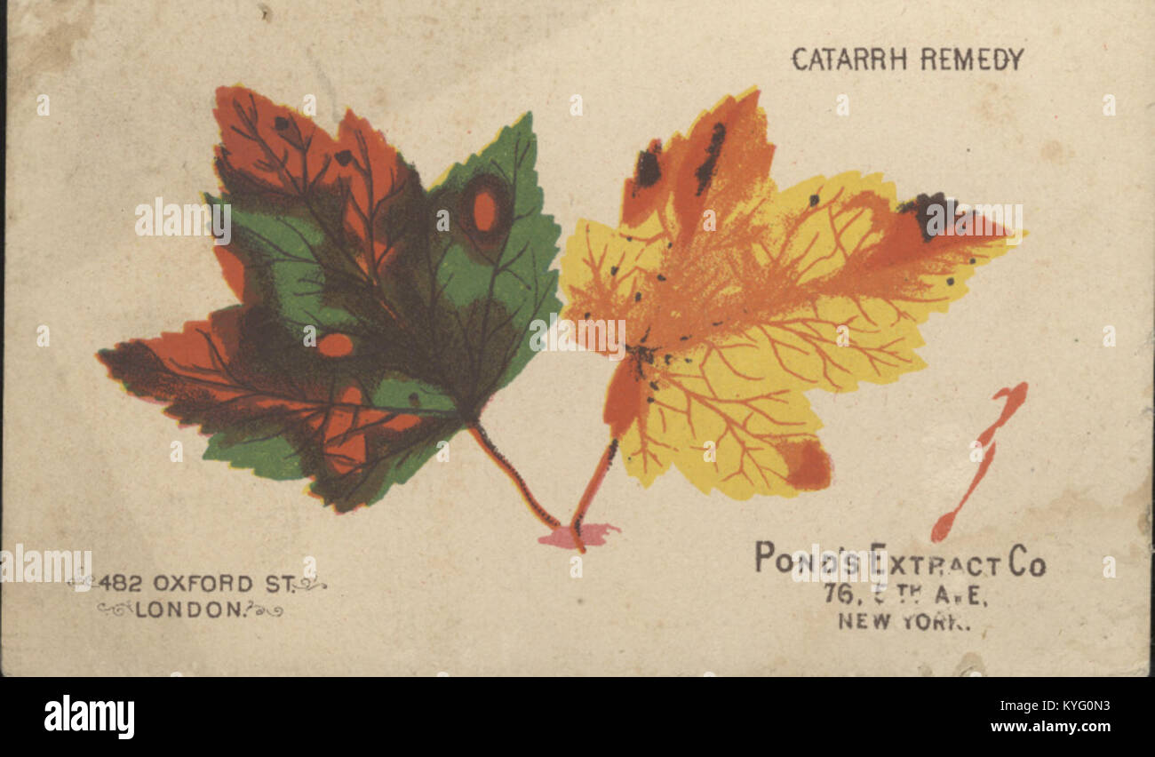 Pond's Extract Co. was a prominent company known for its health and ...
