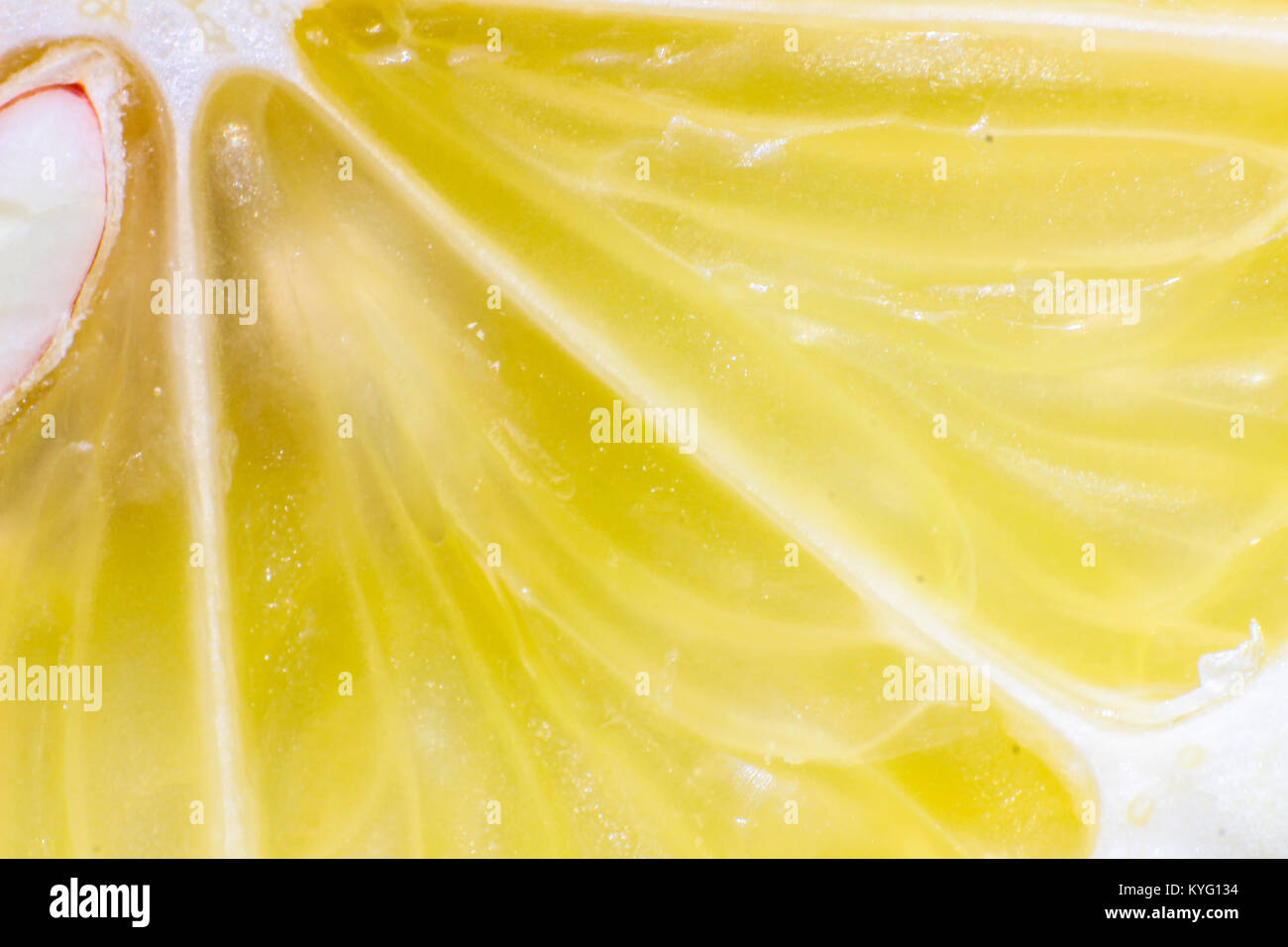 a slice of lemon very close up - macro Stock Photo - Alamy