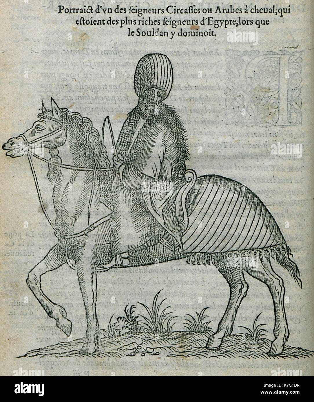 This 1554 portrait by Pierre Belon depicts one of the wealthiest ...