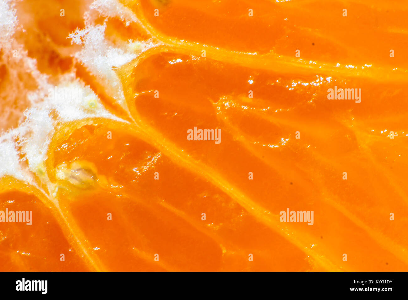 a slice of mandarin very close up - macro Stock Photo - Alamy
