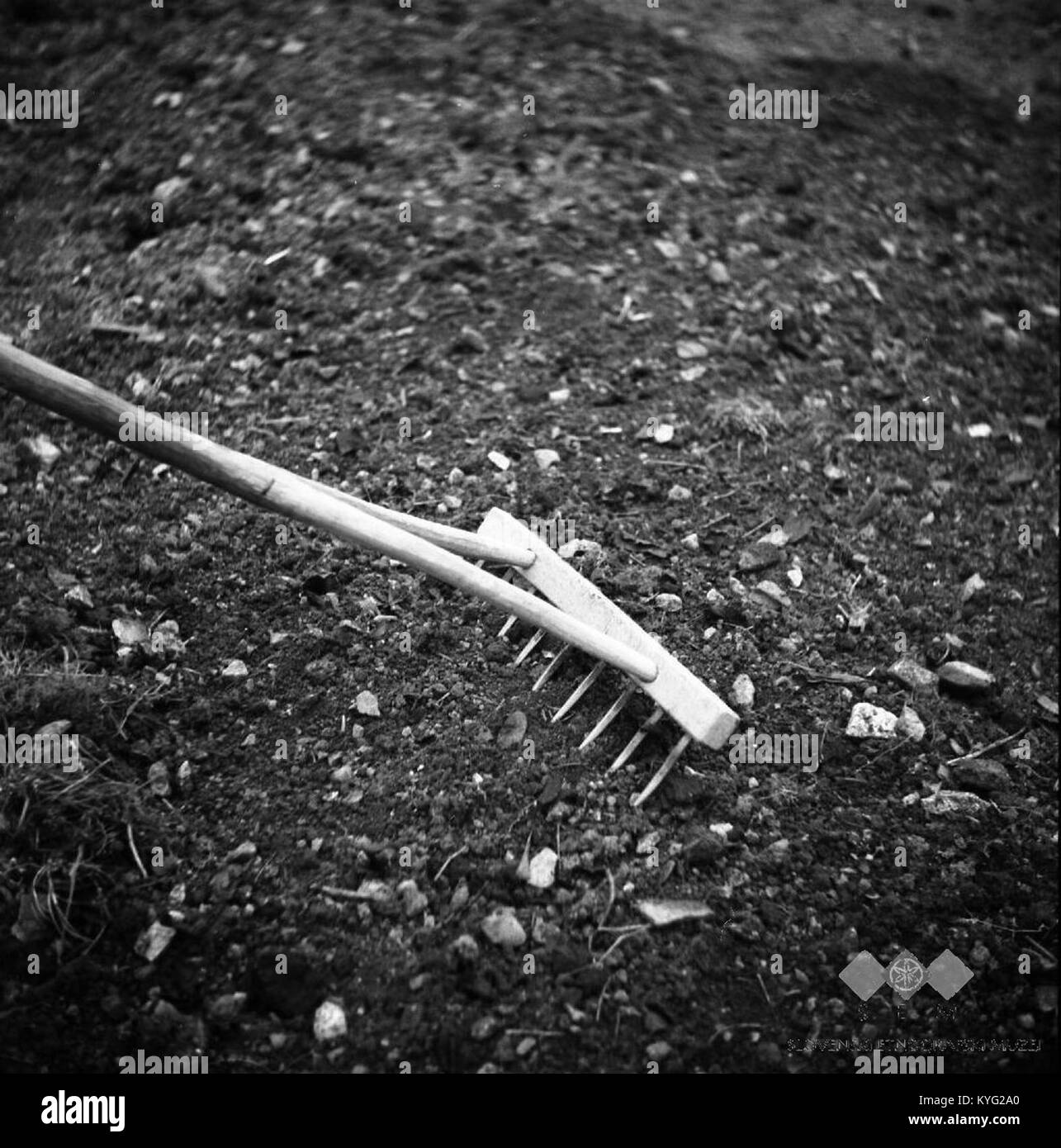 This photograph shows strong wooden rakes with iron teeth, designed for ...