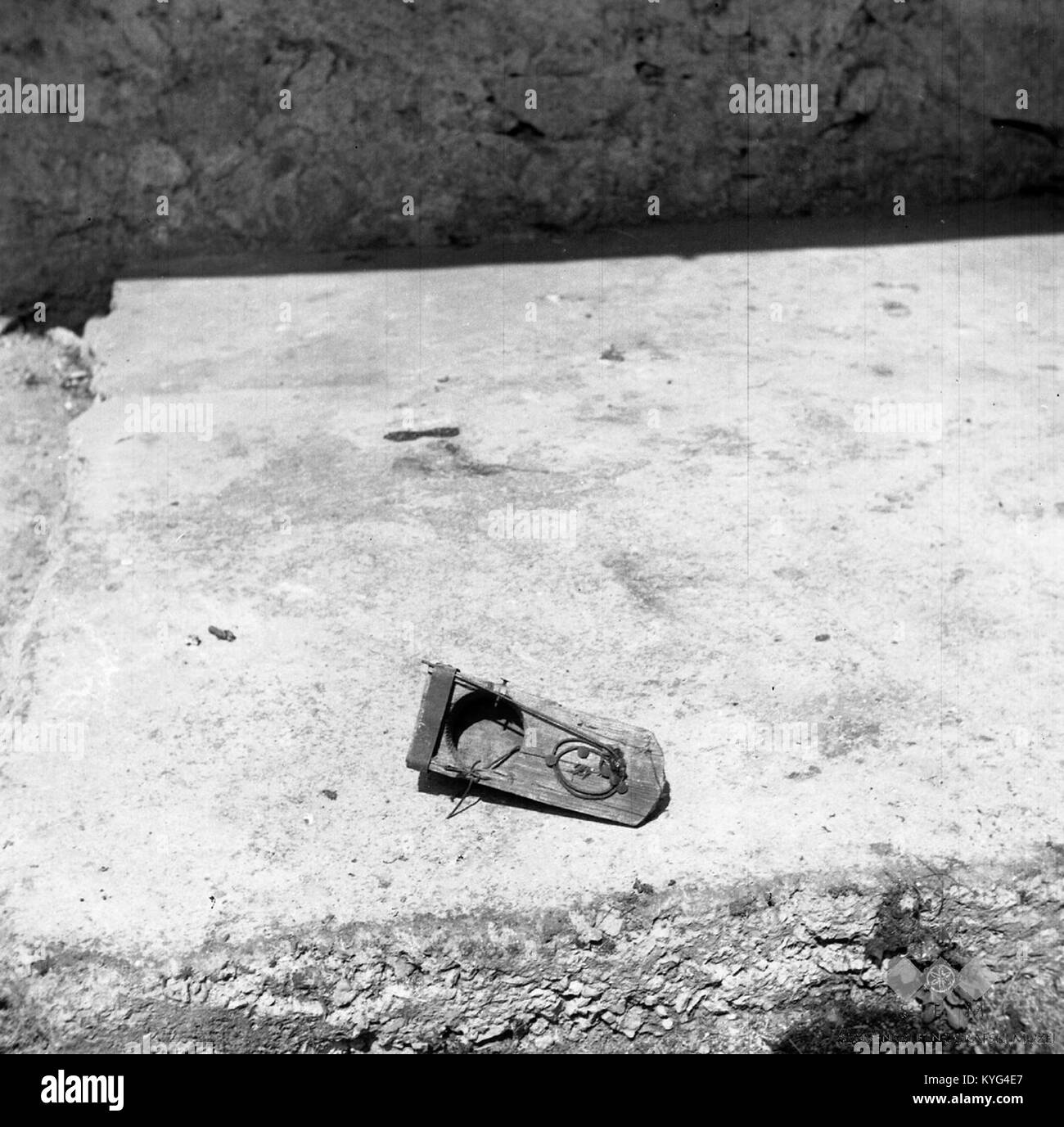 This 1959 photograph shows a wooden box with a hazel nut, a traditional ...