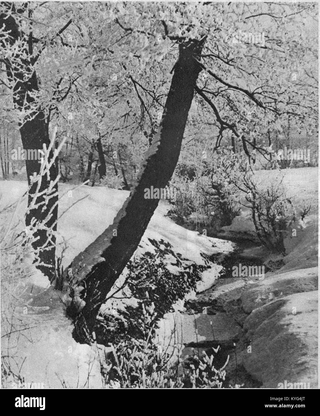 Pozimi hi-res stock photography and images - Alamy