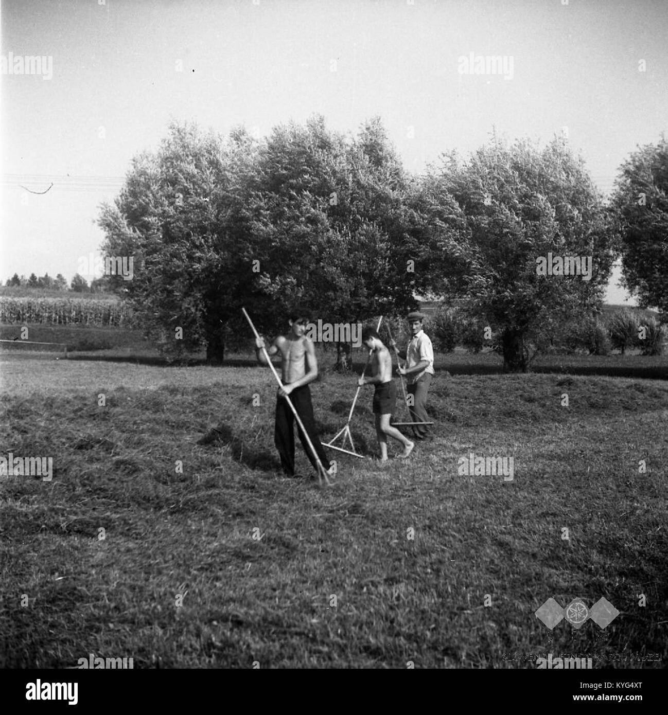 Haymaking season hi-res stock photography and images - Alamy