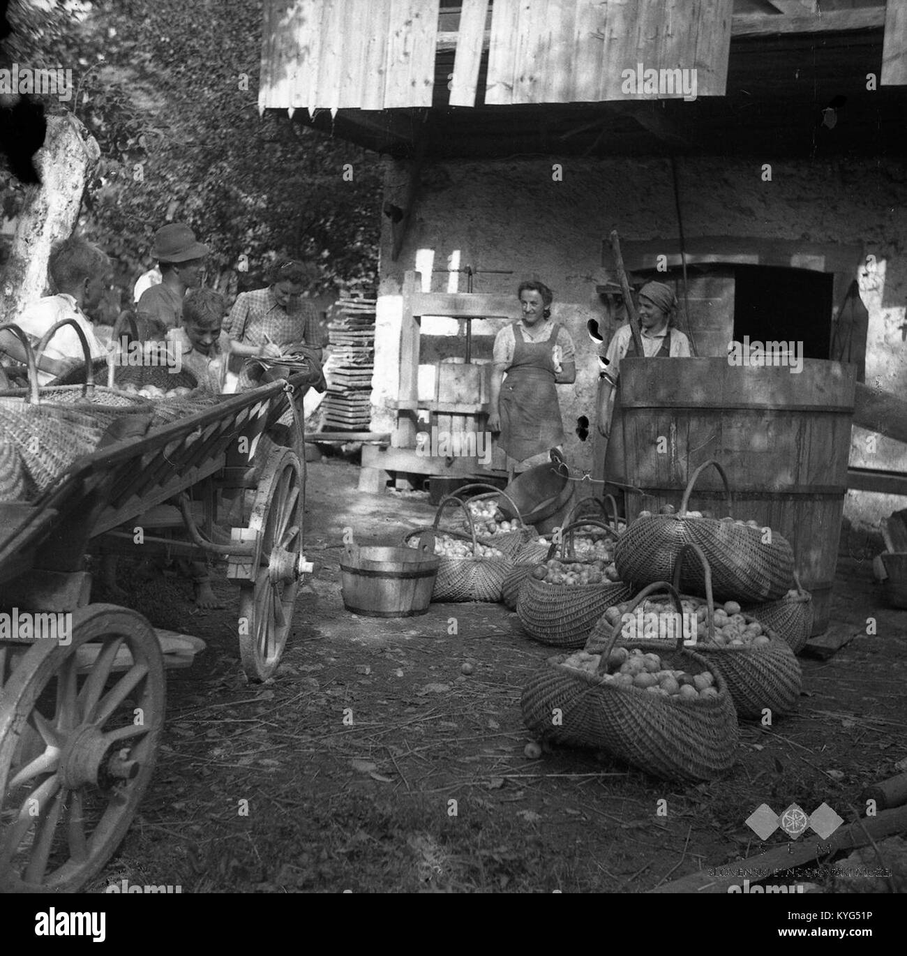 Farm apple Black and White Stock Photos & Images - Alamy