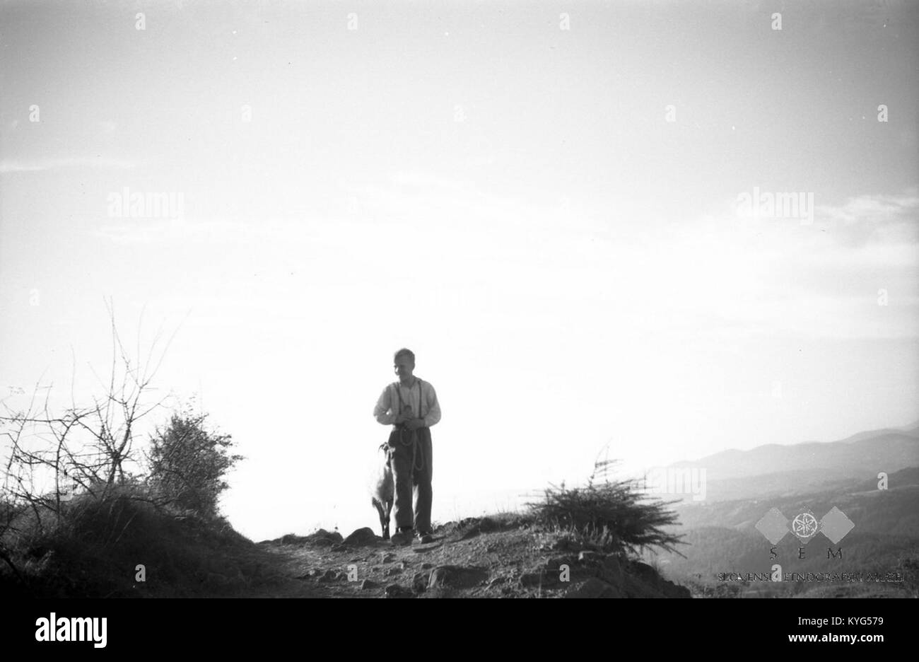 This image from 1955 depicts a rural scene in Pregarje, Slovenia ...