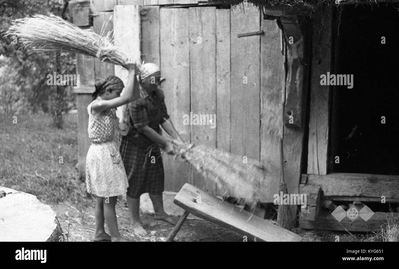 Wheat harvest 1960s hi-res stock photography and images - Alamy