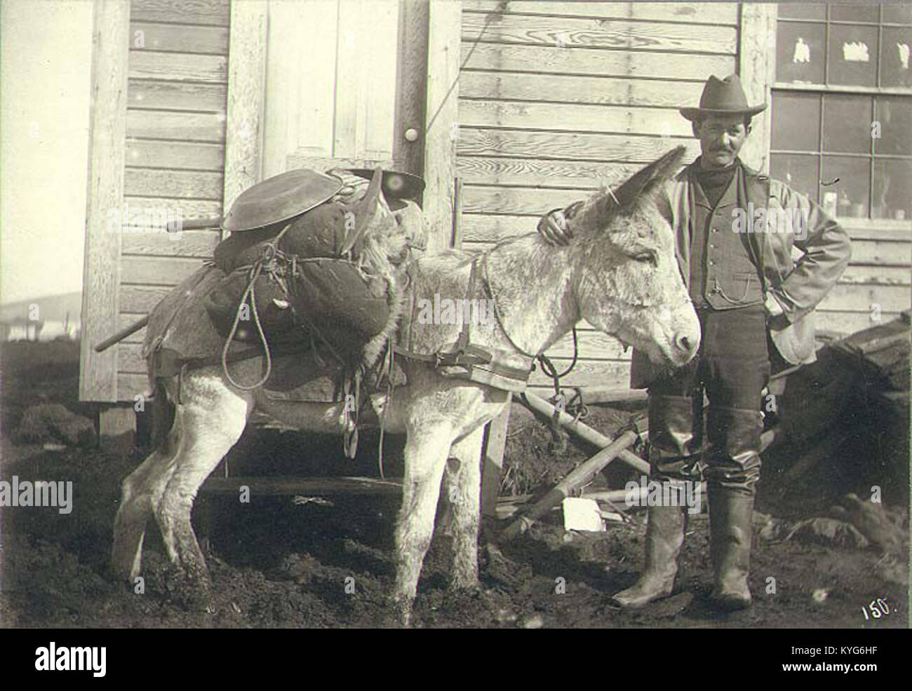 A prospector in Nome, Alaska, stands outside a building with a mule ...