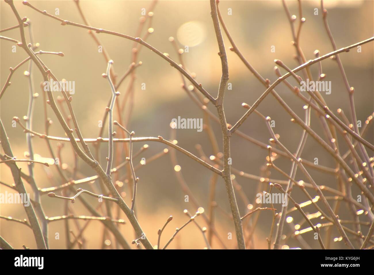 Arriving spring hi-res stock photography and images - Alamy