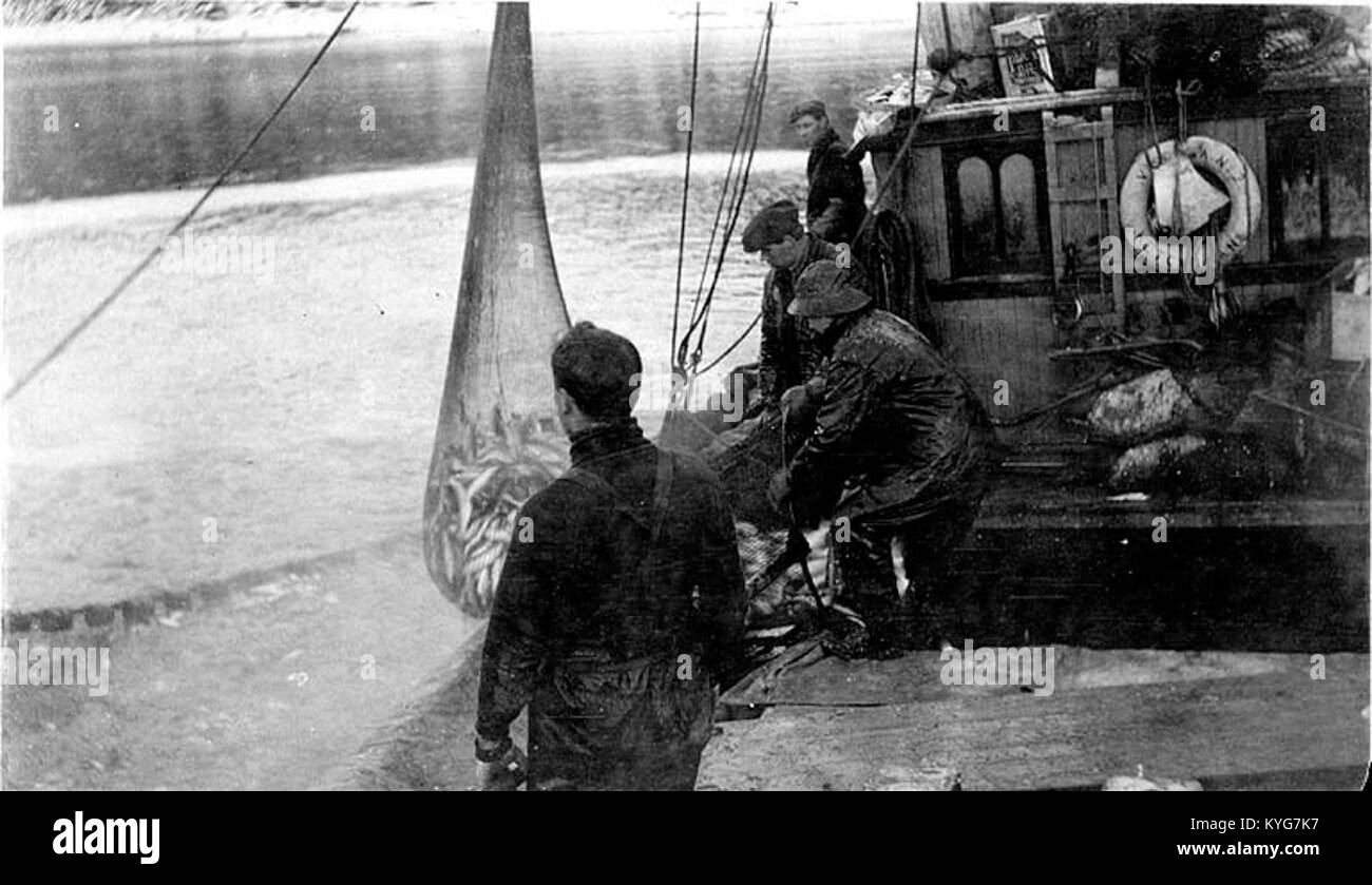 Purse seining hi-res stock photography and images - Alamy