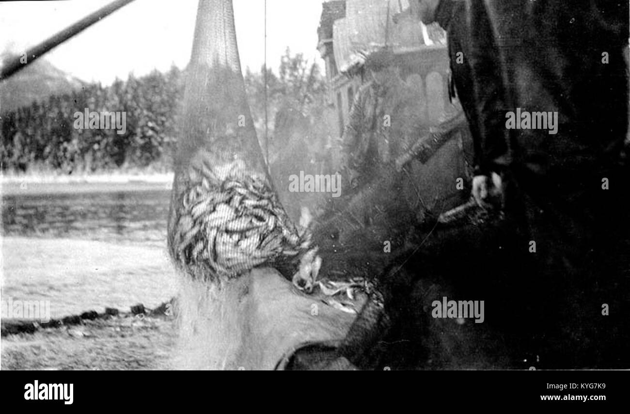 Purse seining hi-res stock photography and images - Alamy