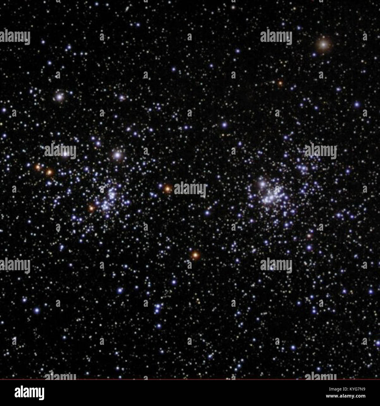 Putin huilo hi-res stock photography and images - Alamy