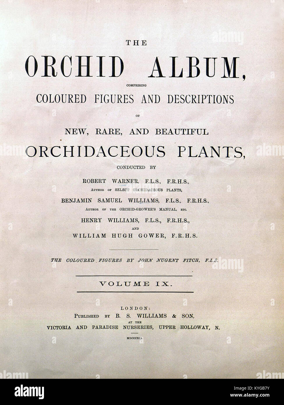 The image is from the 1891 volume 09 of 'The Orchid Album' by R. Warner ...