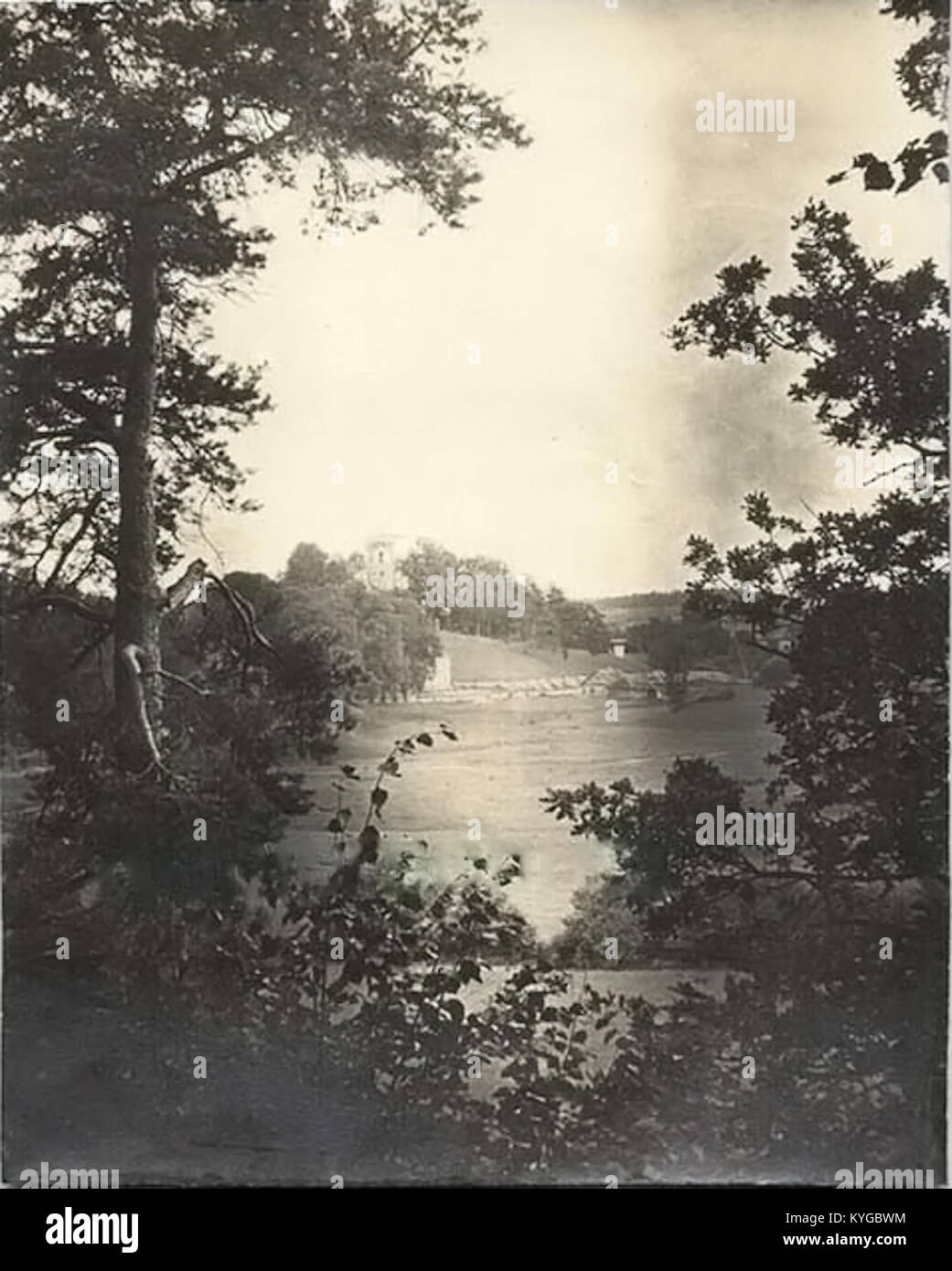 Rajca. Райца (1916 Stock Photo - Alamy
