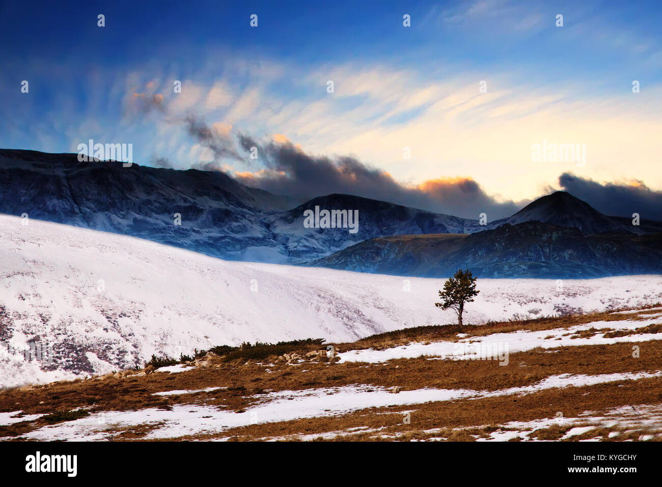 HDR winter landscape on sunset in winter mountains, alone tree in ...