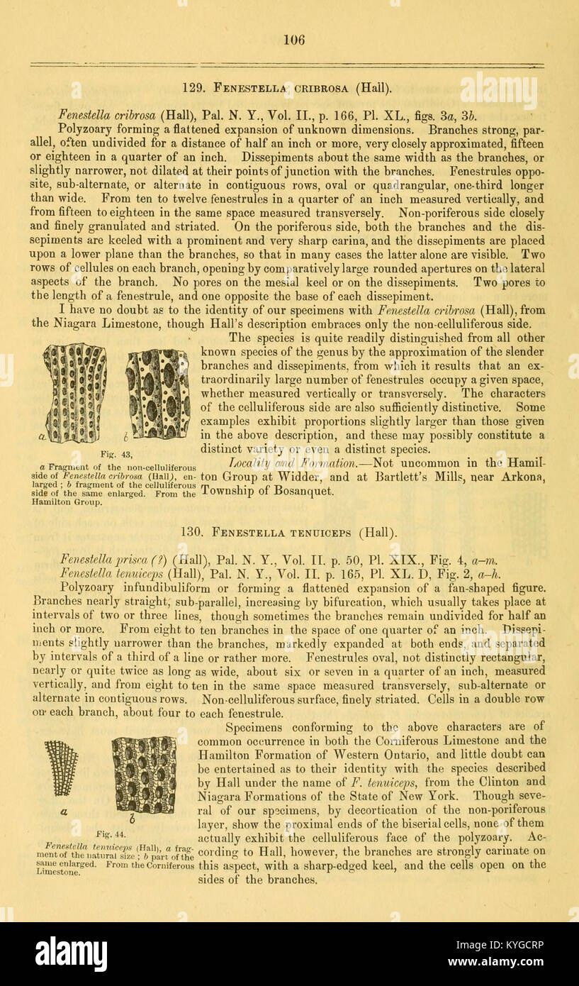 This report details the paleontological findings in the province of ...