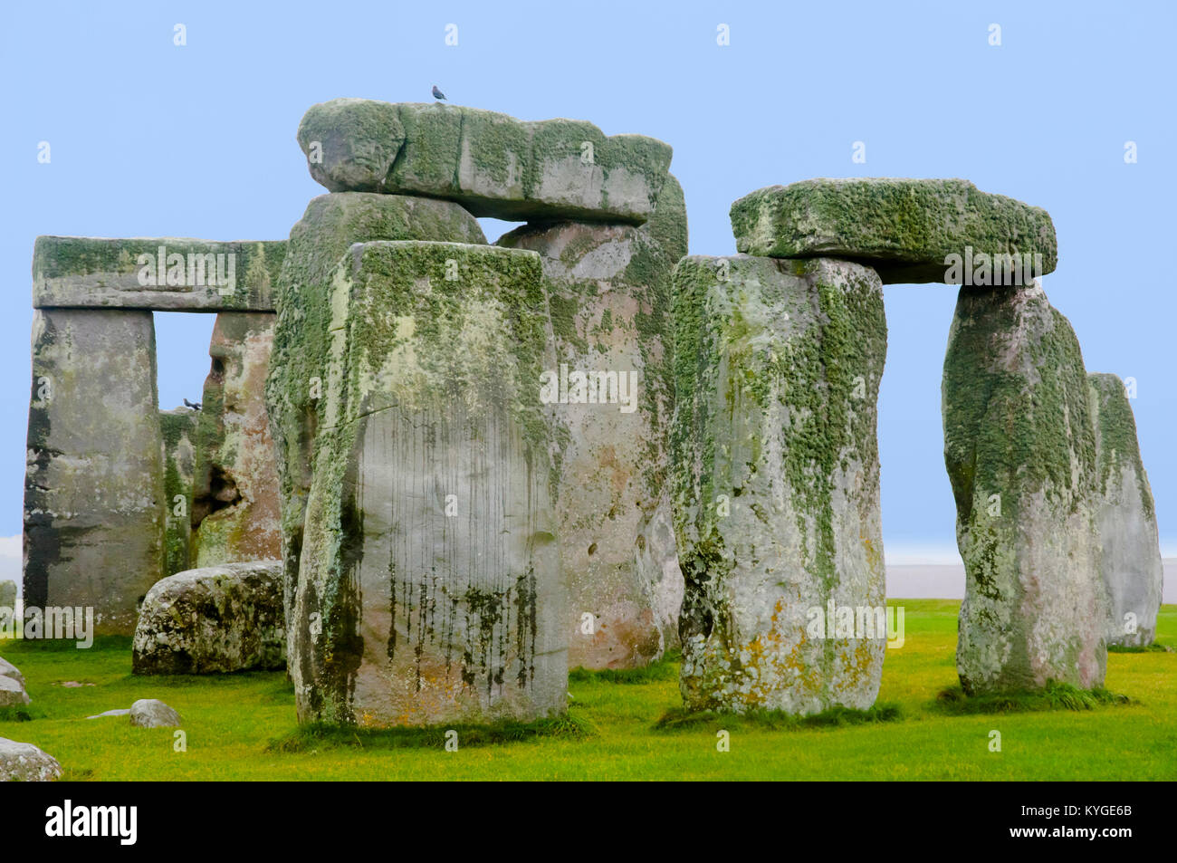 The wonder clock hi-res stock photography and images - Alamy