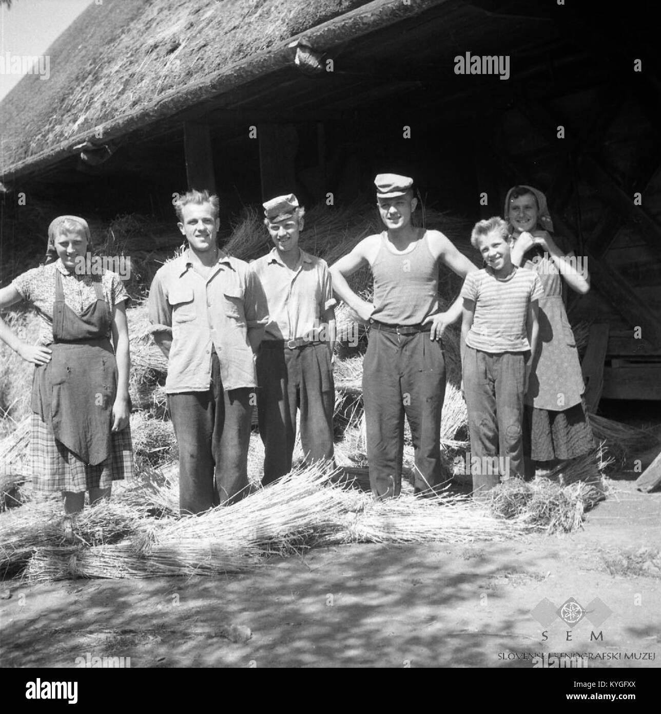 Robovi mlatiči, Plešivica 1957 Stock Photo - Alamy