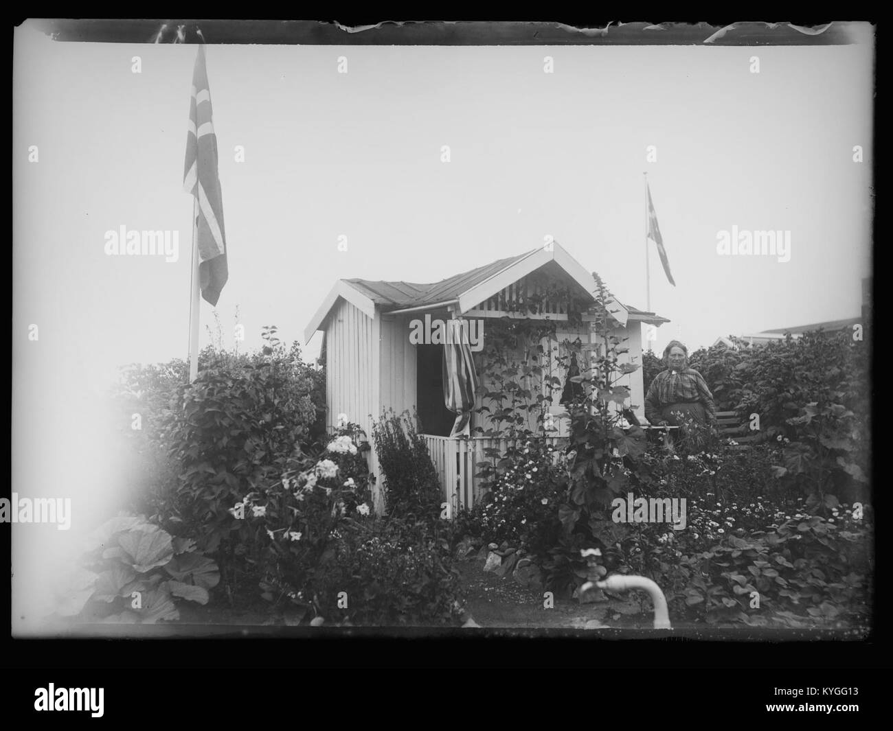 Planting small plant Black and White Stock Photos & Images - Alamy