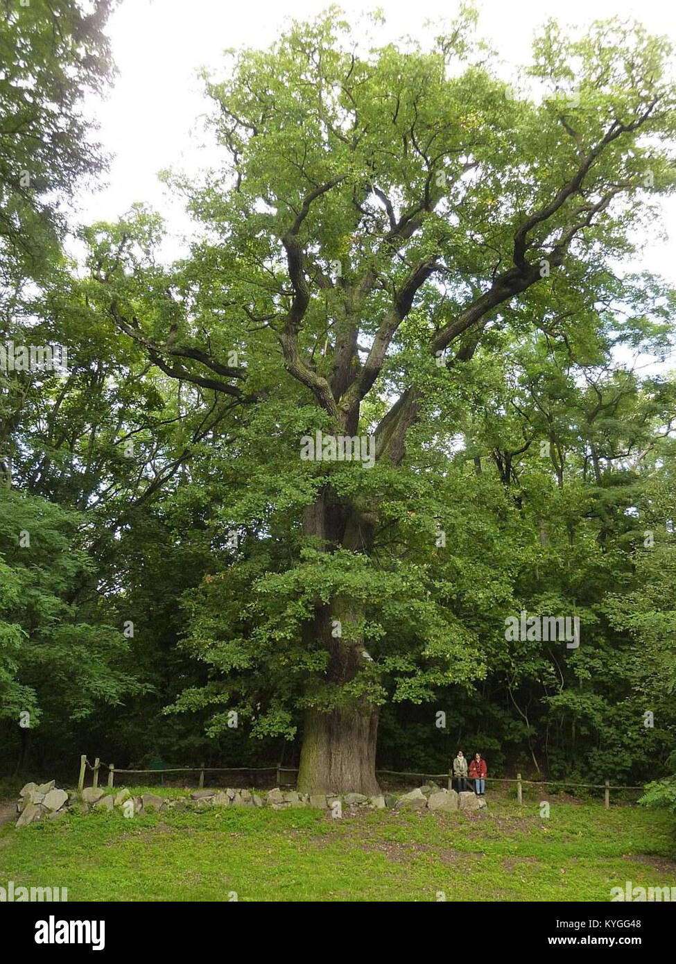 Edwarda hi-res stock photography and images - Alamy