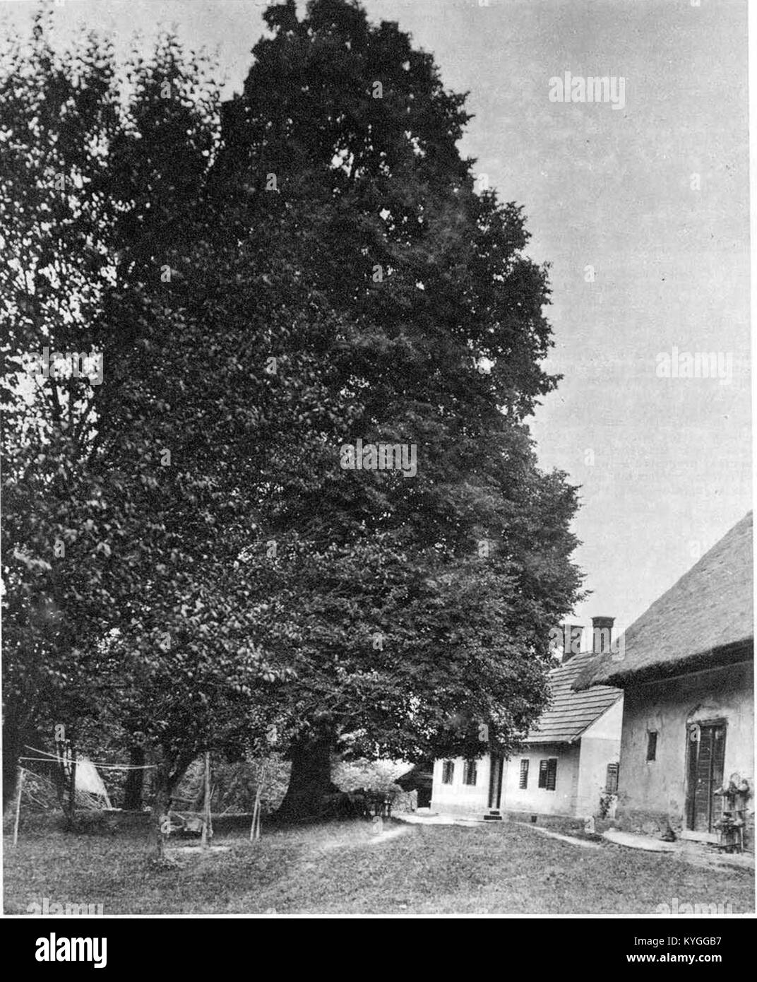 This is the birthplace of the former national representative Zebot in ...