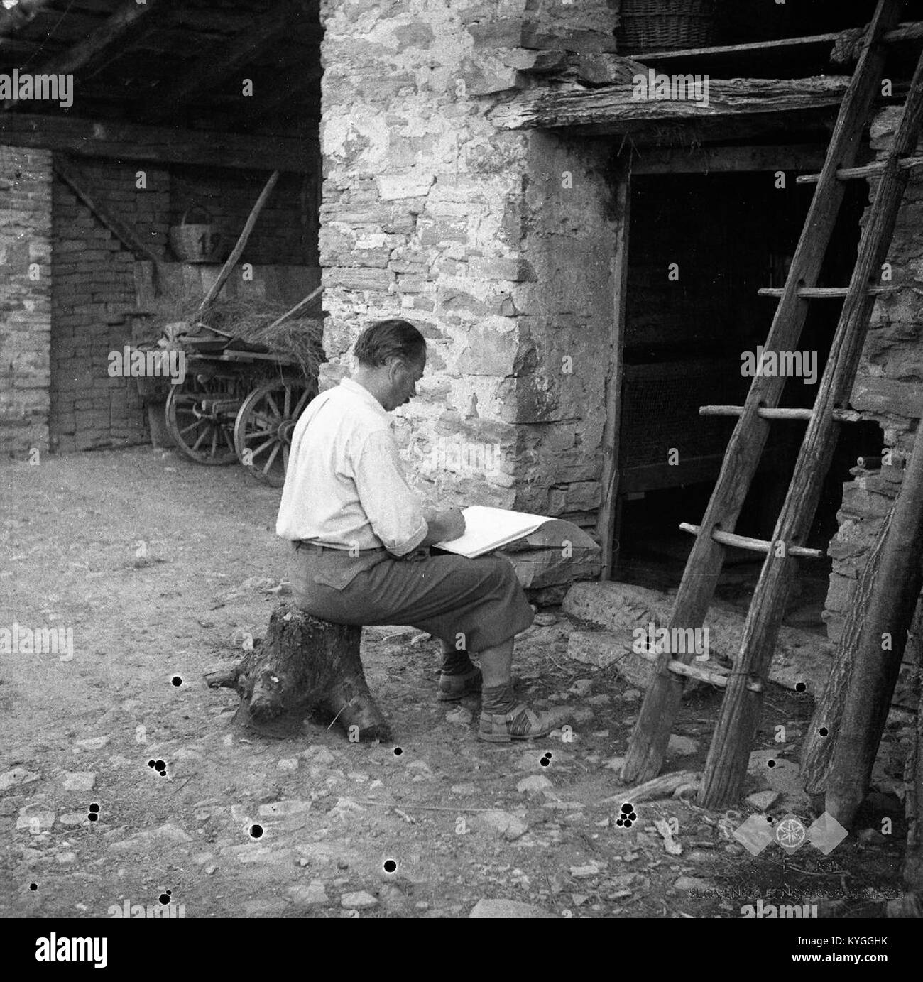 The 1953 photograph 'Romih Rise Notranjost Stale' shows a barn interior ...