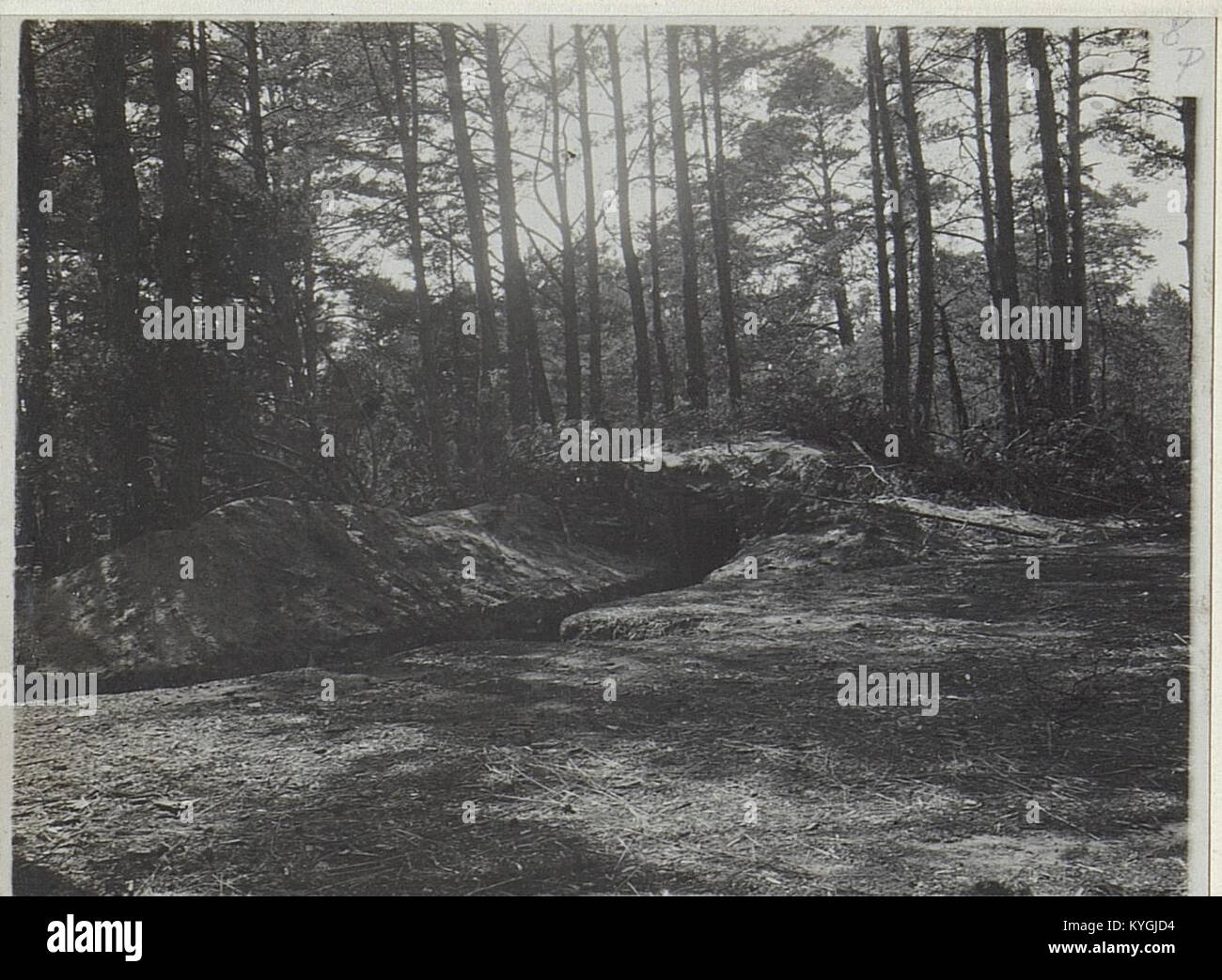 Military infrastructure in trenches hi-res stock photography and images ...