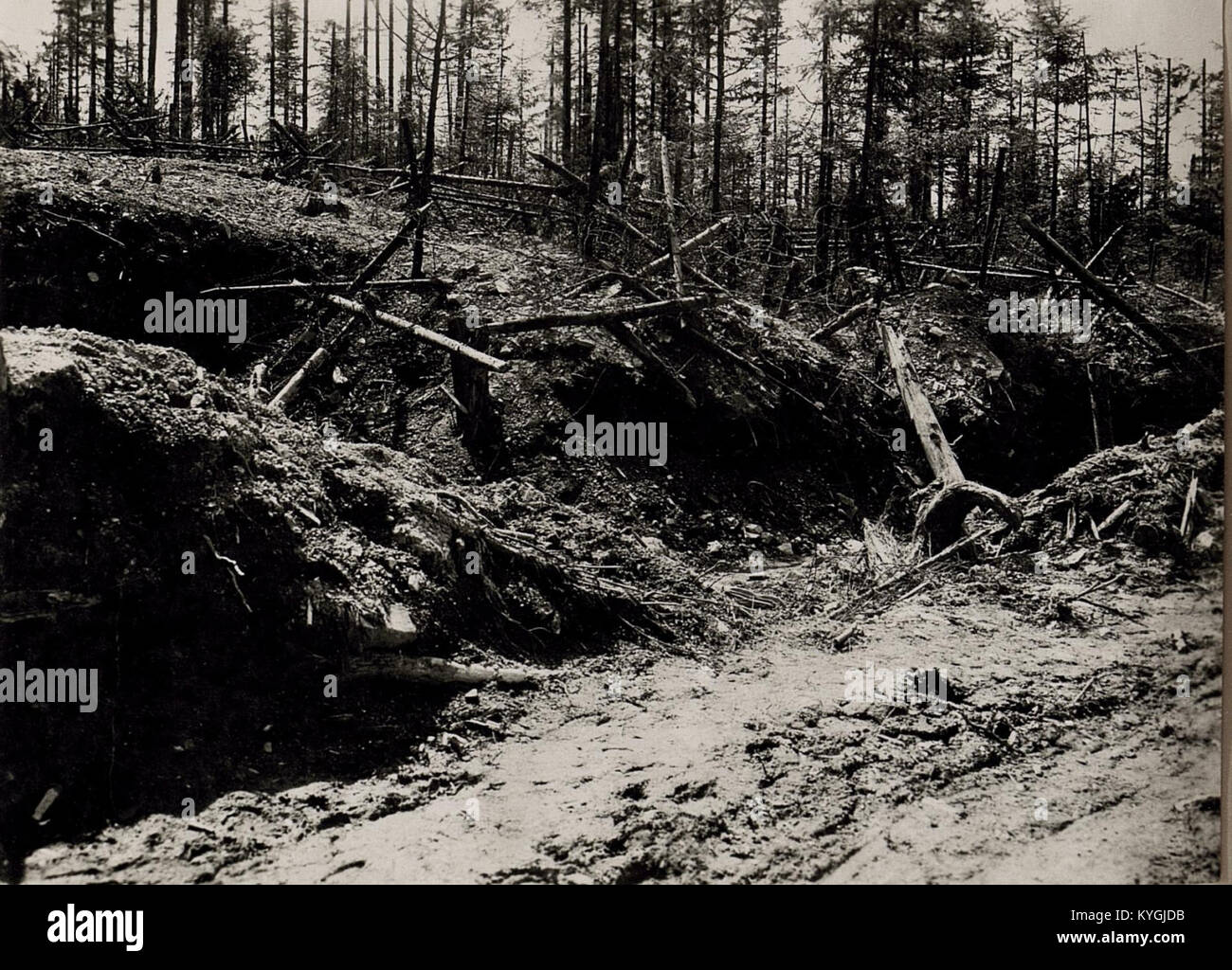 A 19th-century photograph showing Russian military trench warfare ...